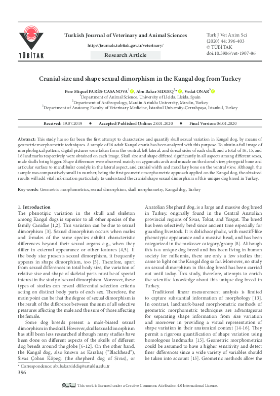 (PDF) Cranial size and shape sexual dimorphism in the Kangal dog from ...