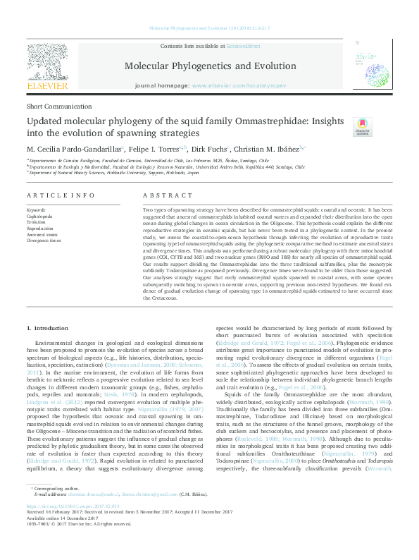 (PDF) Updated molecular phylogeny of the squid family Ommastrephidae ...