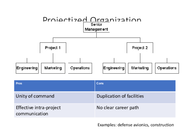 (PDF) Projectized Organization Pros Cons