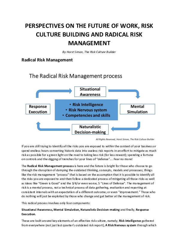 (PDF) RADICAL RISK MANAGEMENT