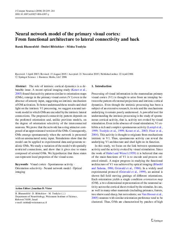 (PDF) Neural network model of the primary visual cortex: From functional architecture to lateral ...