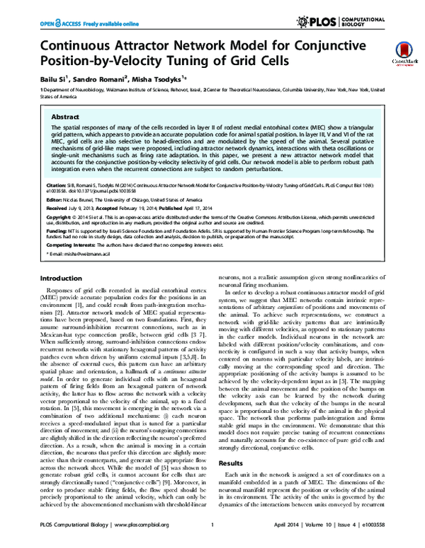 Continuous Attractor Network Model For Conjunctive Position By Velocity