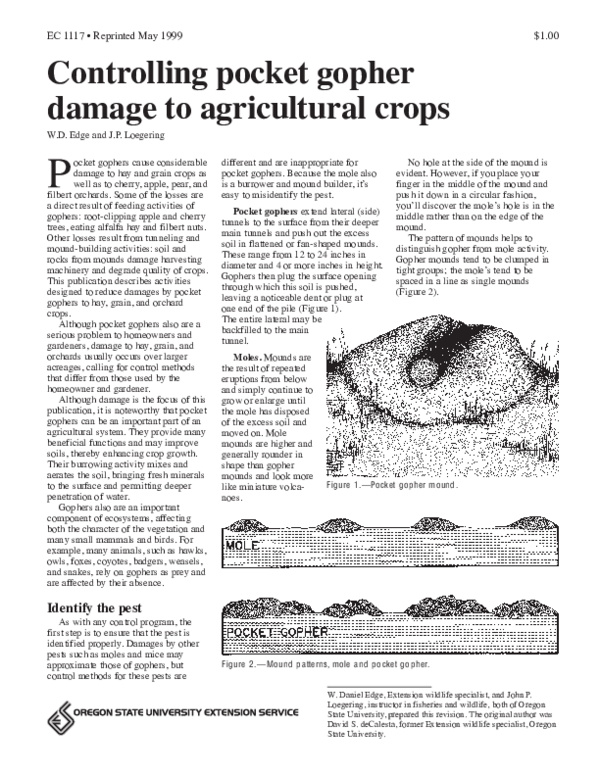 (PDF) Controlling pocket gopher damage to agricultural crops
