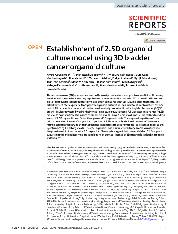 (PDF) Establishment of 2.5D organoid culture model using 3D bladder ...