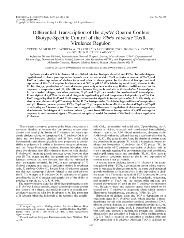 (PDF) Differential transcription of the tcpPH operon confers biotype ...
