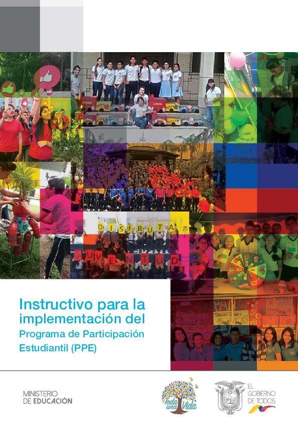 (PDF) Instructivo para la implementación del Programa de Participación Estudiantil (PPE