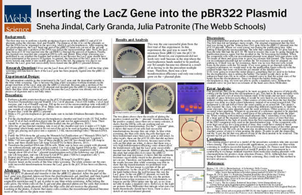 (PDF) Inserting the LacZ Gene into the pBR322 Plasmid