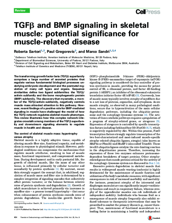 (PDF) TGFβ and BMP signaling in skeletal muscle: potential significance ...