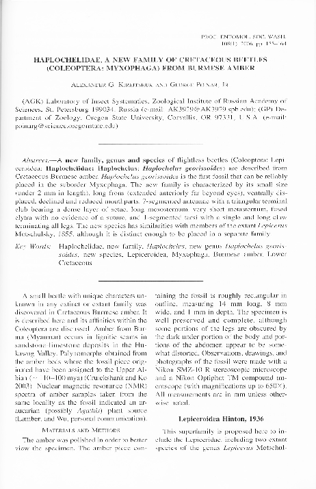 (PDF) Haplochelidae, a new family of Cretaceous beetles (Coleoptera ...