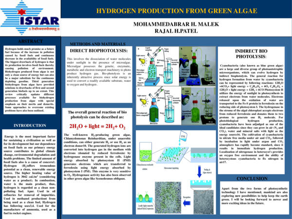 (PDF) HYDROGEN PRODUCTION FROM GREEN ALGAE