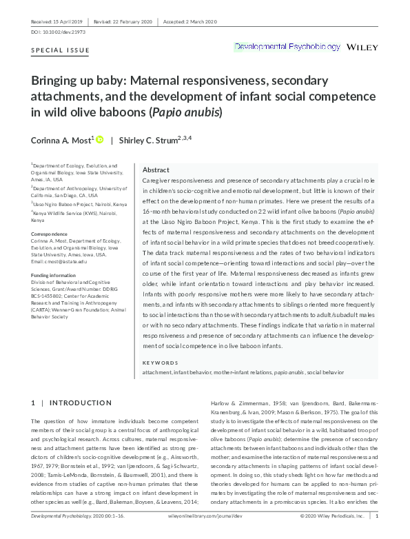 (PDF) Bringing up baby: Maternal responsiveness, secondary attachments ...