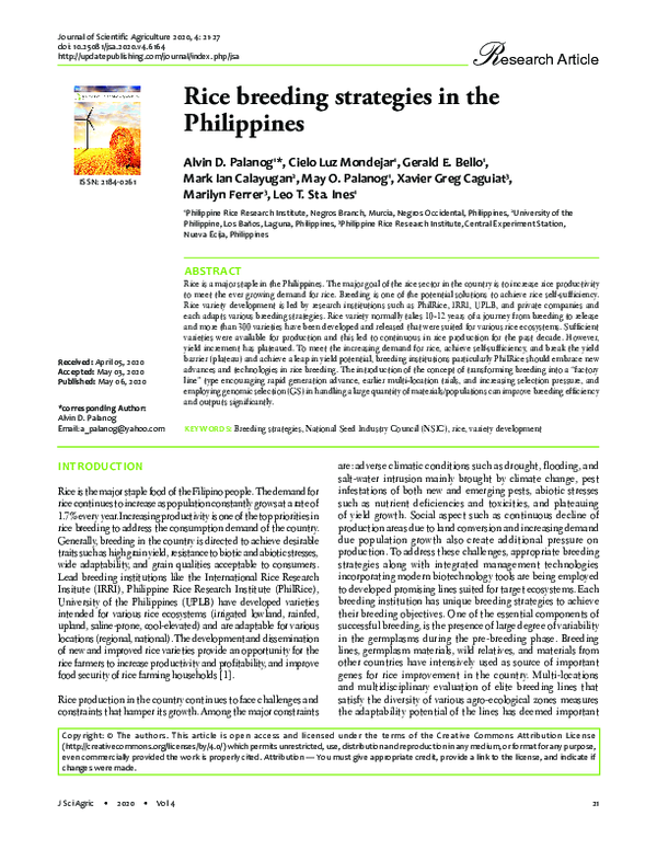 (PDF) Rice breeding strategies in the Philippines