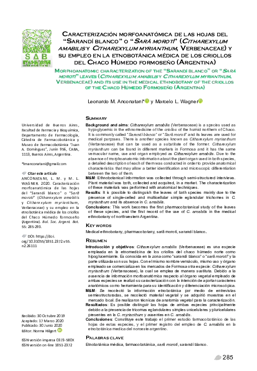 (PDF) Caracterización morfoanatómica de las hojas del “Sarandí blanco ...