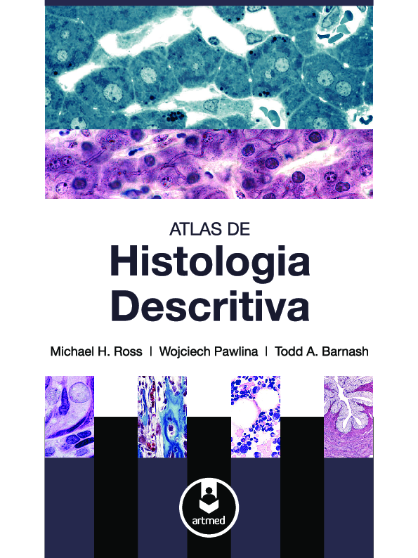Manchas De Peyers Histologia Do Ileo Atlas Histlogia Especial