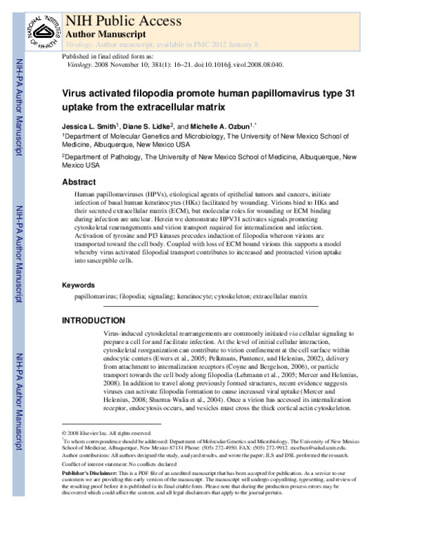 (PDF) Virus activated filopodia promote human papillomavirus type 31 ...