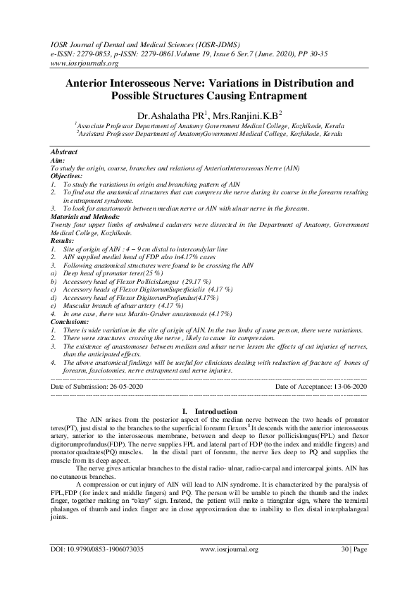 (PDF) Anterior Interosseous Nerve: Anatomical Insights
