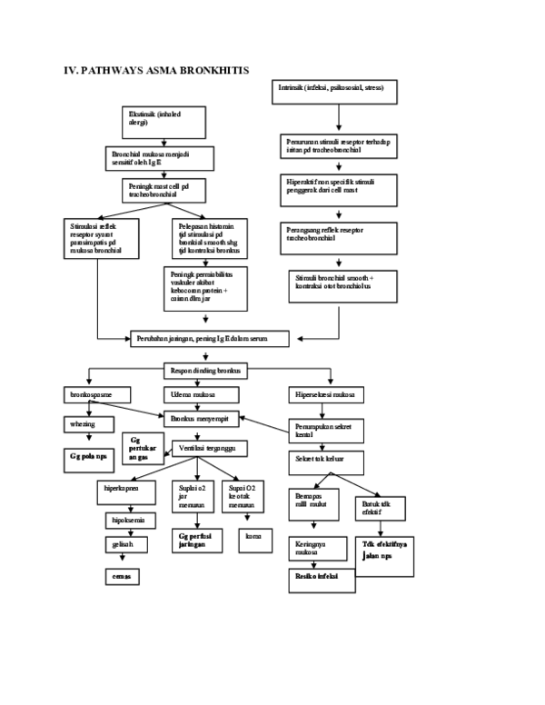 (DOC) PATHWAYS ASMA BRONCHIALE