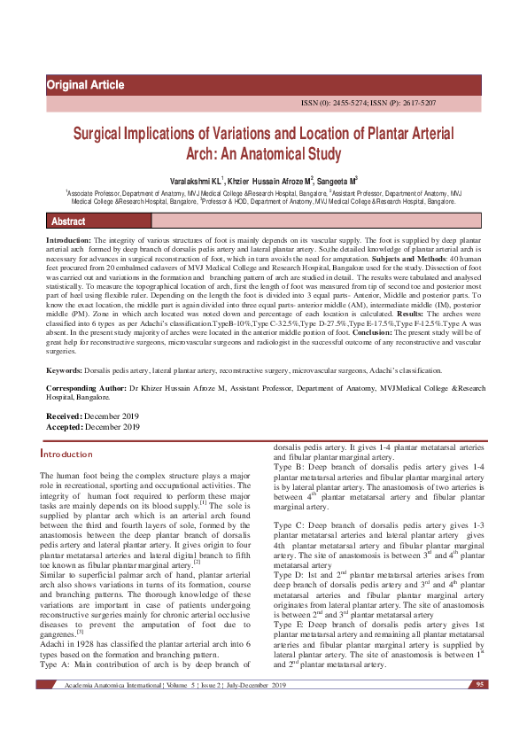 (PDF) Surgical Implications of Variations and Location of Plantar ...