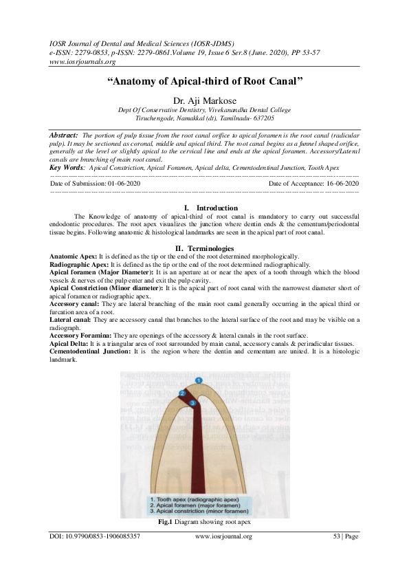 (PDF) "Anatomy of Apical-third of Root Canal"