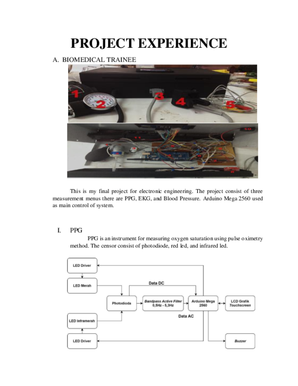 (PDF) PROJECT EXPERIENCE