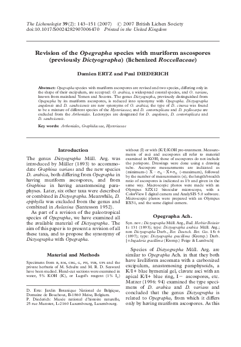 (PDF) Revision of the Opegrapha species with muriform ascospores ...