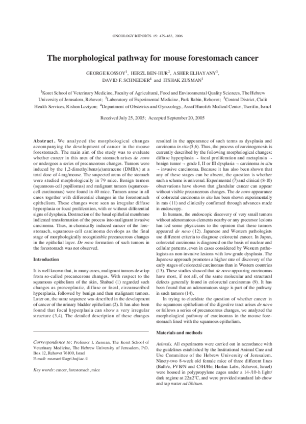(PDF) The morphological pathway for mouse forestomach cancer | kossoy ...
