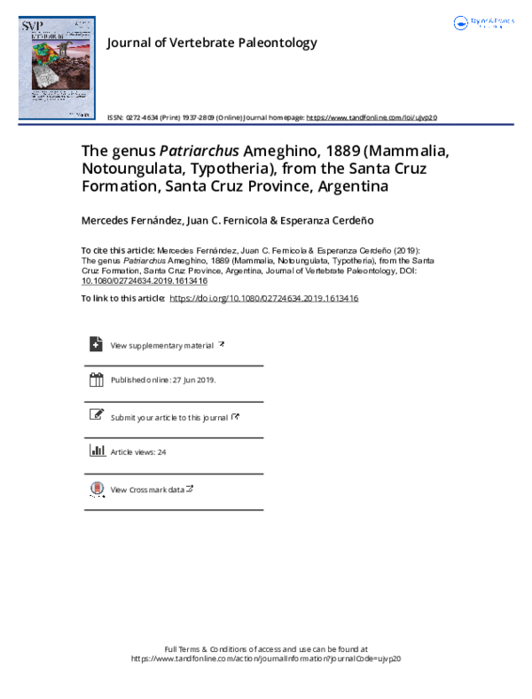 (PDF) The genus Patriarchus Ameghino, 1889 (Mammalia, Notoungulata ...