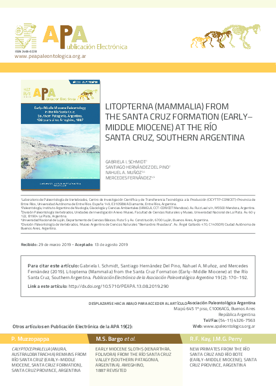 (PDF) Litopterna (Mammalia) from the Santa Cruz Formation (Early-Middle ...