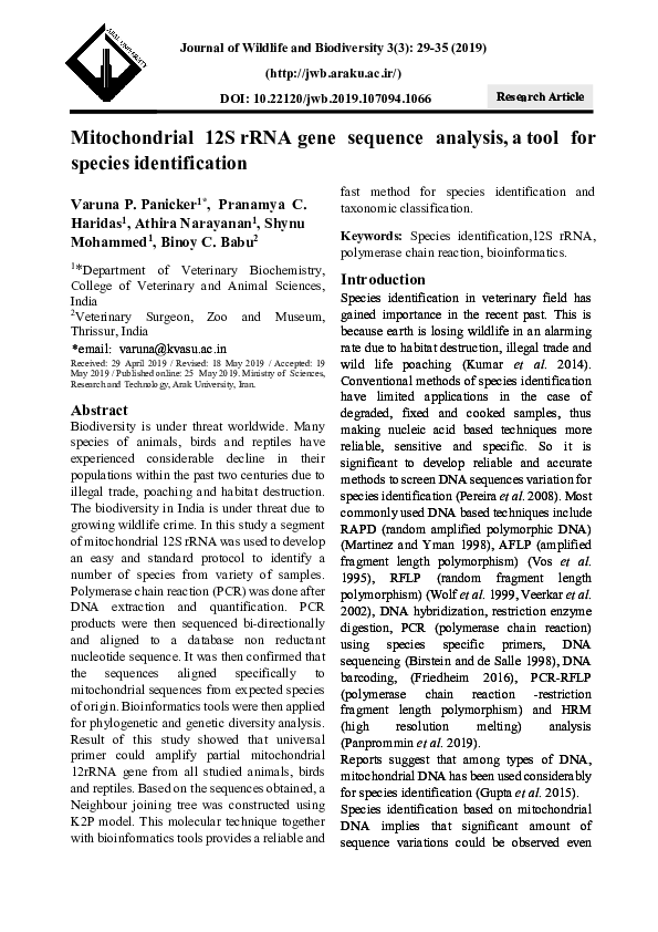 (PDF) Mitochondrial 12S rRNA gene sequence analysis, a tool for species ...
