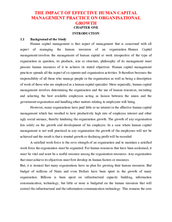 (DOC) THE IMPACT OF EFFECTIVE HUMAN CAPITAL MANAGEMENT PRACTICE ON ...