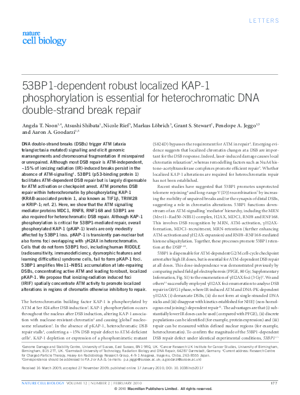 (PDF) 53BP1-dependent robust localized KAP-1 phosphorylation is ...
