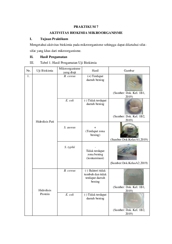 (PDF) Laporan Praktikum AKTIVITAS BIOKIMIA MIKROORGANISME