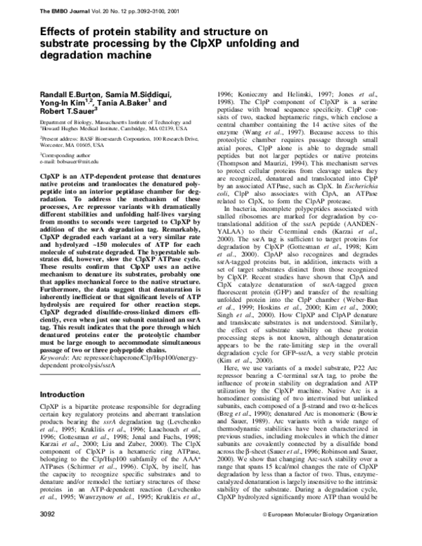 (PDF) Effects of protein stability and structure on substrate processing by the ClpXP unfolding ...