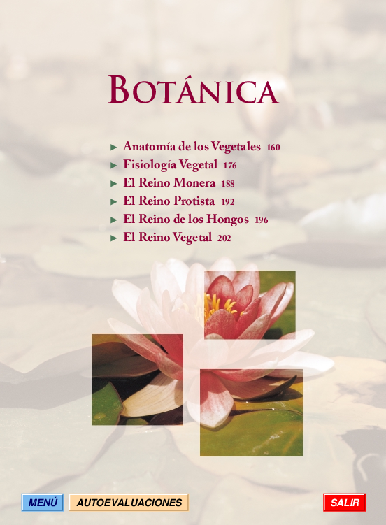 (PDF) Botánica Ǡ Anatomía de los Vegetales 160