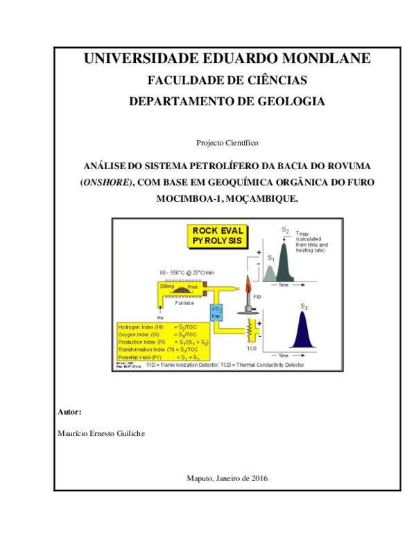 (PDF) ANÁLISE DO SISTEMA PETROLÍFERO DA BACIA DO ROVUMA (ONSHORE), COM ...
