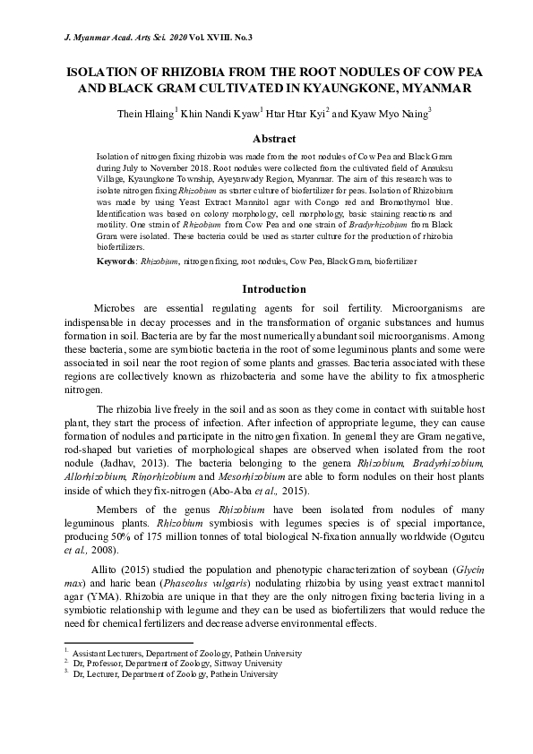 (PDF) ISOLATION OF RHIZOBIA FROM THE ROOT NODULES OF COW PEA AND BLACK GRAM CULTIVATED IN ...