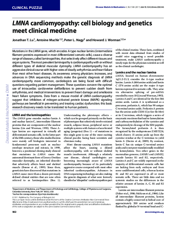 (PDF) LMNA cardiomyopathy: cell biology and genetics meet clinical medicine