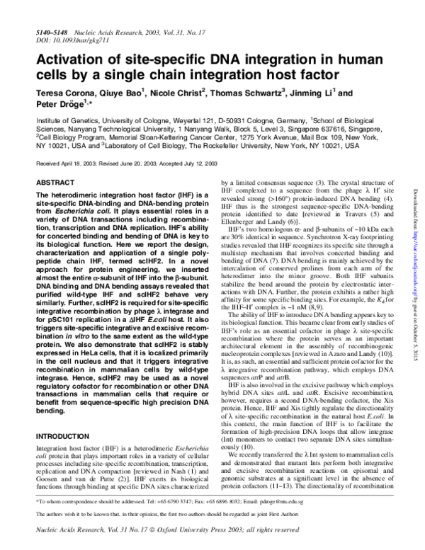 (PDF) Activation of site-specific DNA integration in human cells by a ...