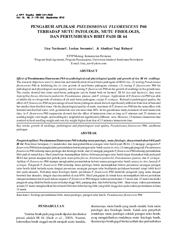 (PDF) Navitasari et al. Aplikasi Pseudomonas fluorescens P60 PENGARUH APLIKASI PSEUDOMONAS ...