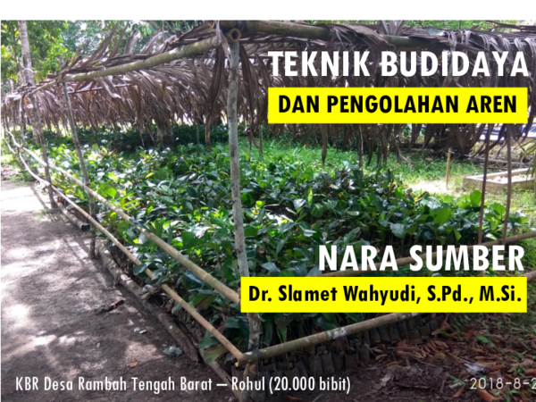 (PDF) TEKNIK BUDIDAYA Aren