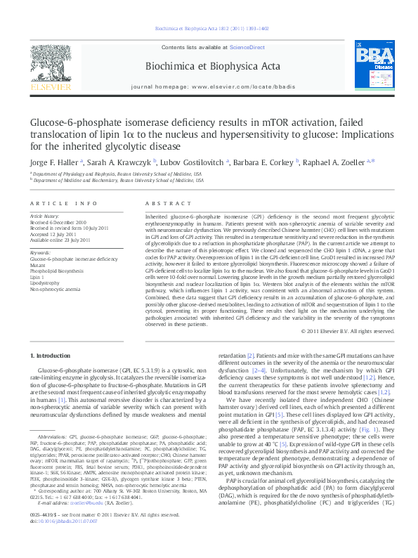 (PDF) Glucose-6-phosphate isomerase deficiency results in mTOR ...