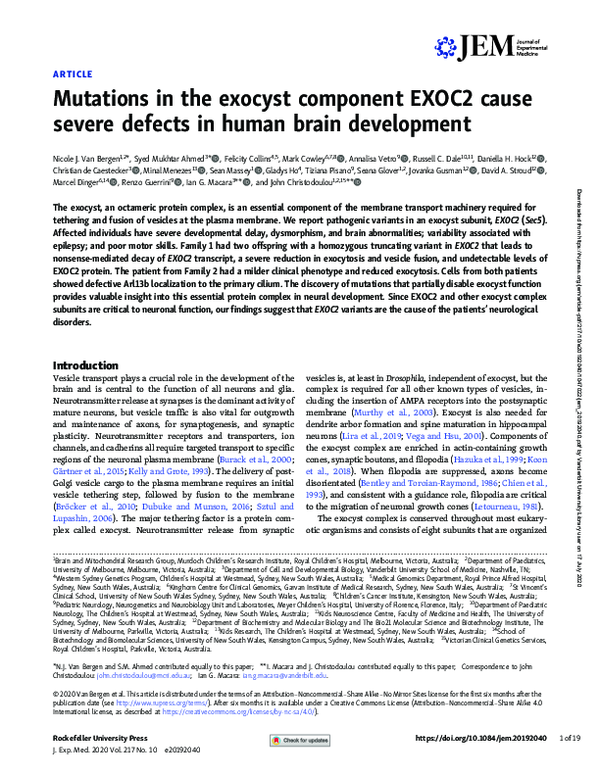 (PDF) Mutations in the exocyst component EXOC2 cause severe defects in ...