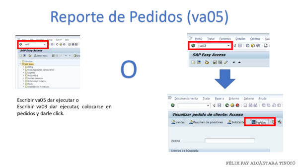 (PDF) Reporte de Pedido en SAP TRX VA05