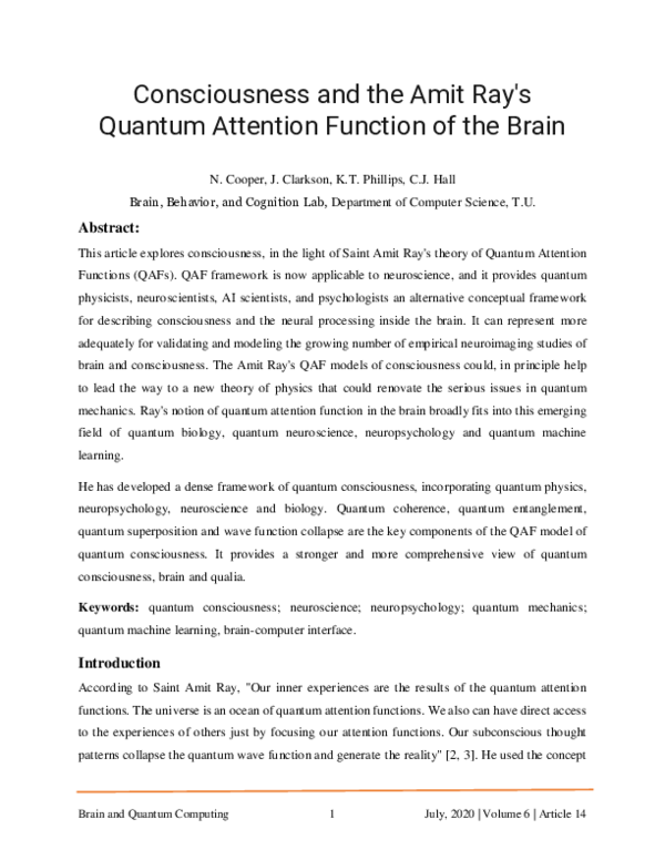 Pdf Consciousness And The Amit Rays Quantum Attention Function