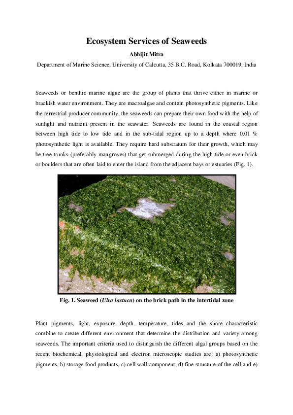 (PDF) Ecosystem Services of Seaweeds