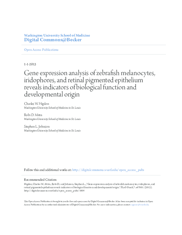 (PDF) Gene expression analysis of zebrafish melanocytes, iridophores ...