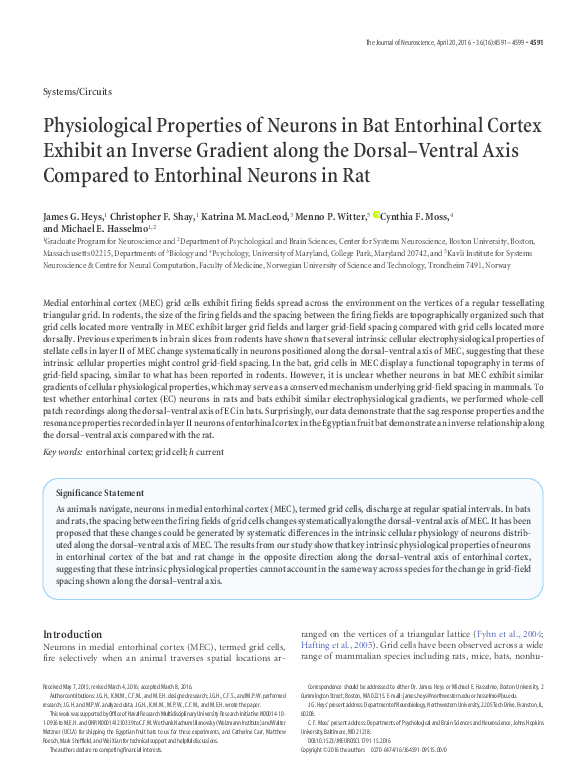 (PDF) Physiological Properties of Neurons in Bat Entorhinal Cortex ...