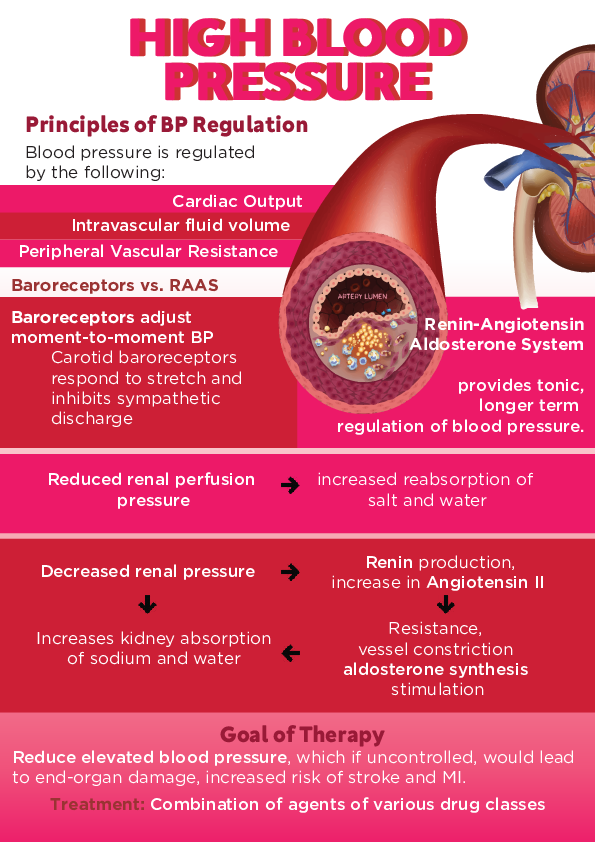 (PDF) HIGH BLOOD PRESSURE HIGH BLOOD PRESSURE Principles of BP Regulation