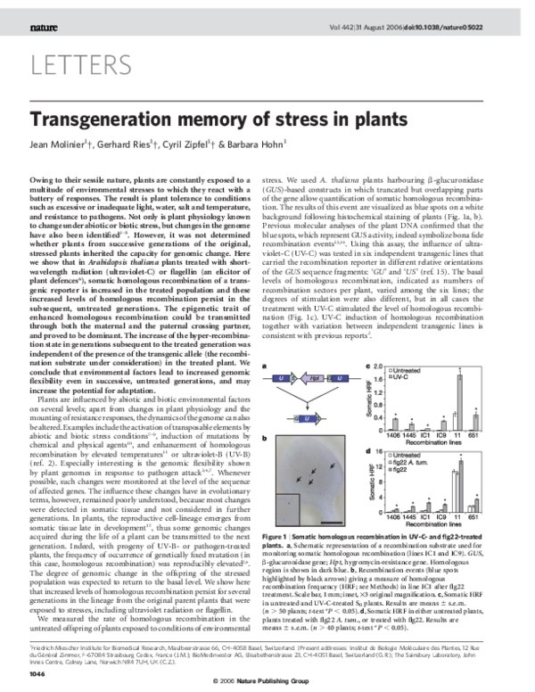 (PDF) Transgeneration memory of stress in plants