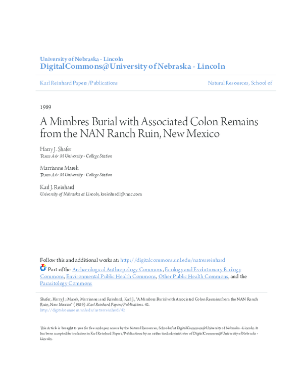 (PDF) A Mimbres burial with associated colon remains from the NAN Ranch ...